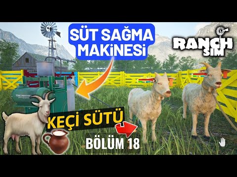 TAZE KEÇİ SÜTÜ SATIŞLARIMIZ BAŞLADI! | Ranch Simulator #18