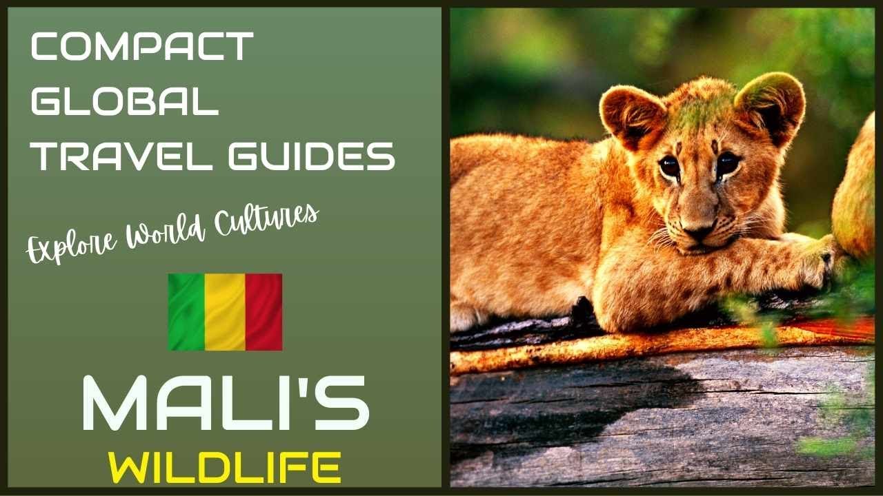 MALI: 7 FACTS ABOUT MALI'S WILDLIFE YOU DIDN'T KNOW | World Cultures ...