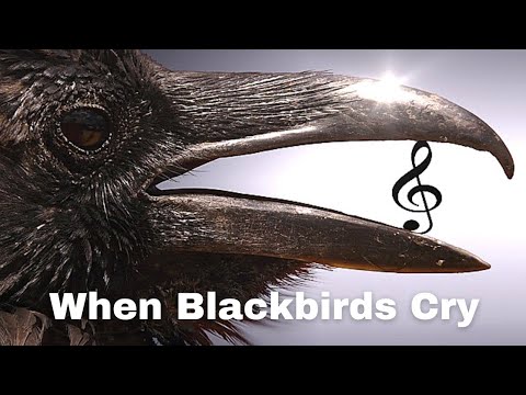 When Blackbirds Cry - YouTube