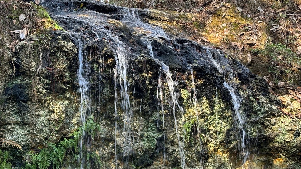 Falling Waters State Park February 2025 - YouTube