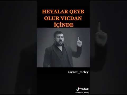 Heyalar qeyb olur vicdan içində