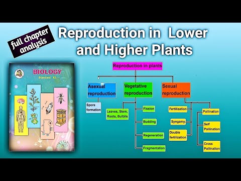 Chapter 1: Reproduction in Lower and Higher Plants l 12th class chapter ...