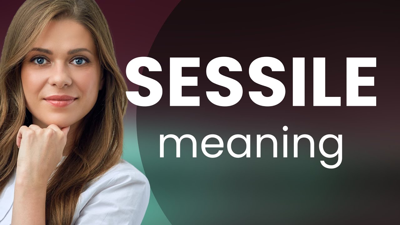 Sessile | SESSILE definition - YouTube