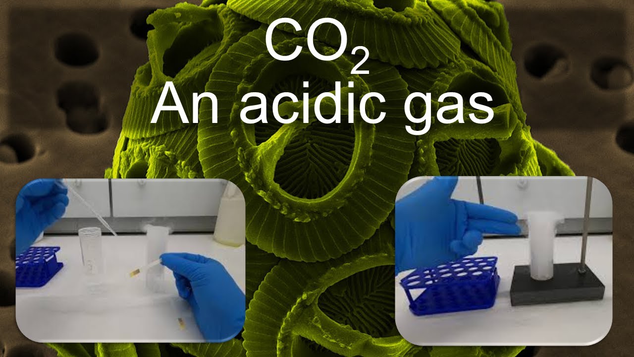Carbon dioxide: An acidic gas - YouTube