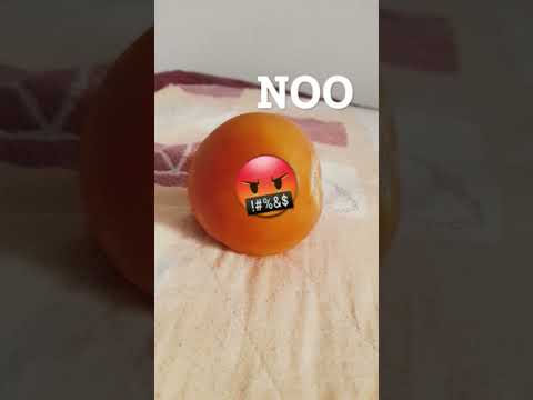 Nooo - YouTube