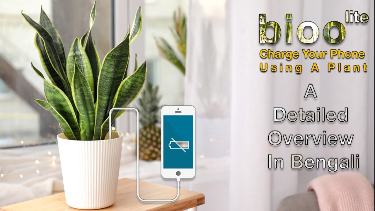Bioo Lite: Charge Your Phone With A Plant || A Detailed Overview In ...