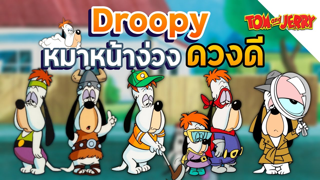 Droopy หมาหน้าง่วงโผล่ทุกที่ คือใครกันนะ ?!- Tom and Jerry - YouTube