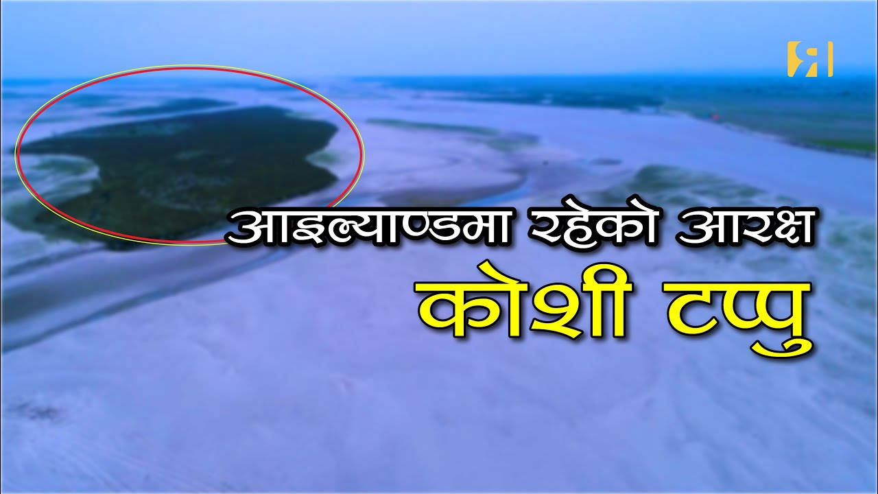 कोशी टप्पु || Koshi Tappu, Wildlife reserve of the island - YouTube