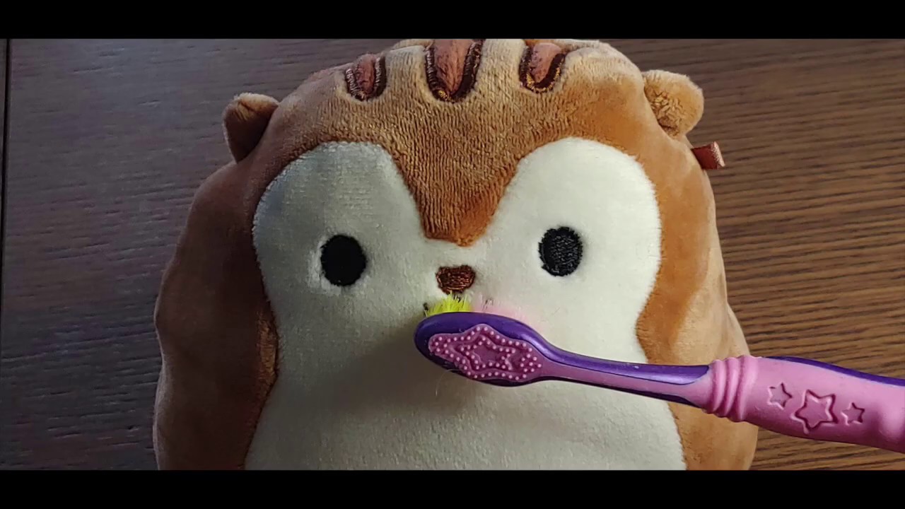 Chippy's adventurous Day! - For Kids - YouTube