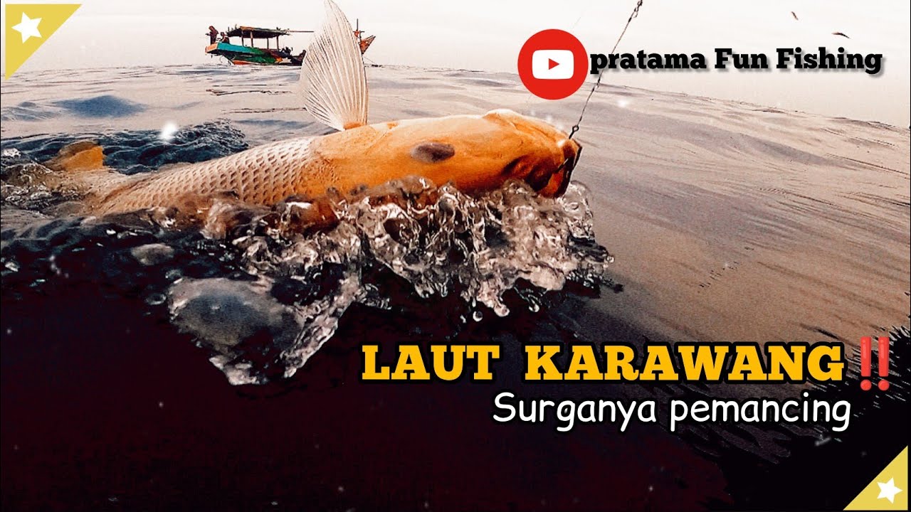 Berburu King Mackeler & Predator Dasaran Di Laut Karawang | Terbaru ...