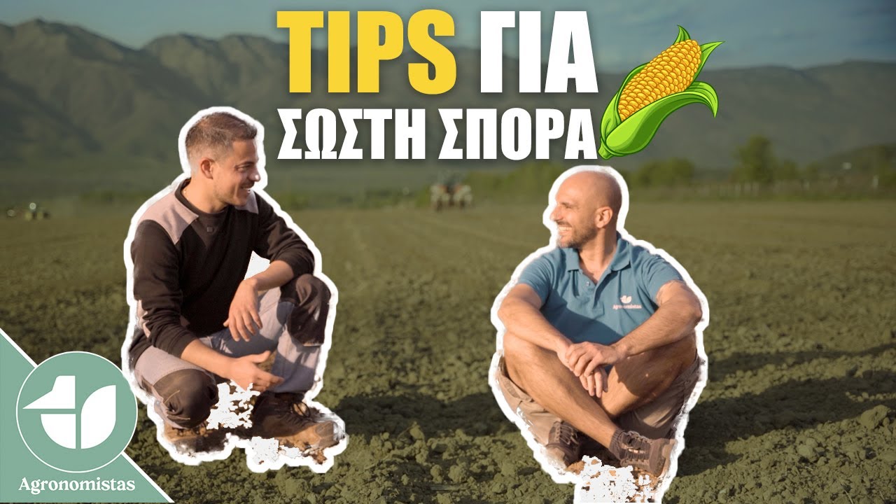 Συμβουλές για τη σωστή ΣΠΟΡΑ ΚΑΛΑΜΠΟΚΙΟΥ - YouTube