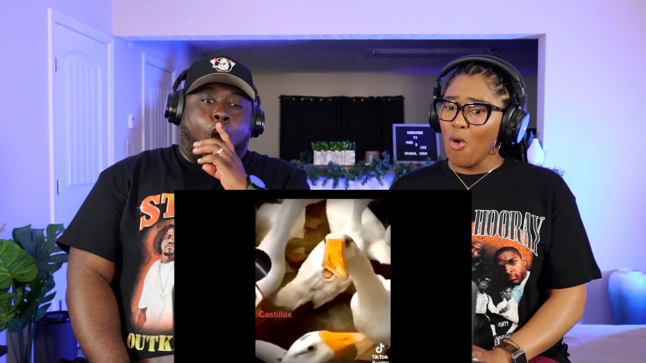 Kidd and Cee Reacts To Funny Animal Videos Guaranteed To Make You Laugh ...
