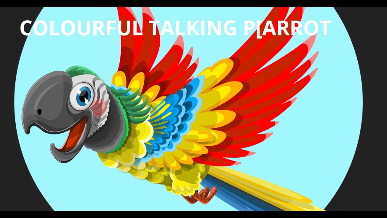 The Parrot's Heartwarming Tale - YouTube