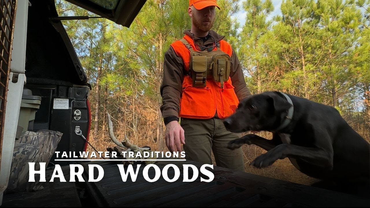 Essential gear needed for winter squirrel hunt in the hardwoods ...