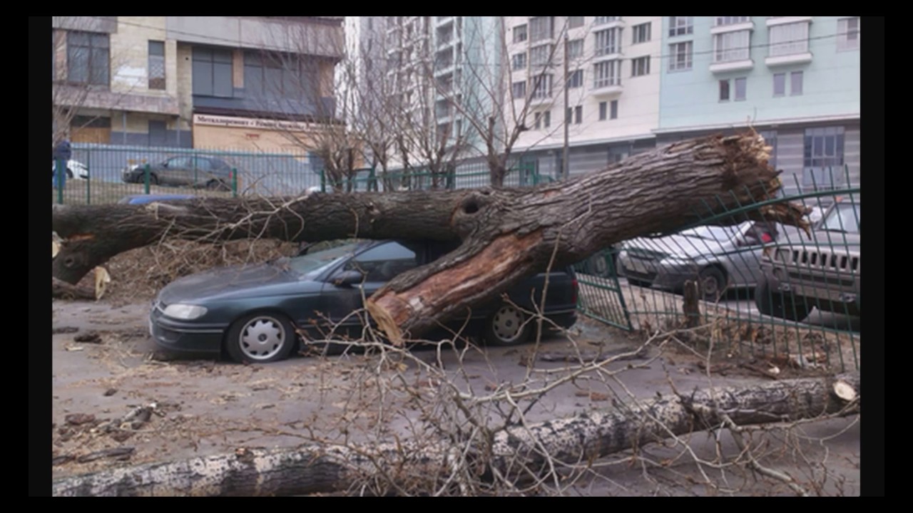 Hurricane in Moscow. First time in 100 years - YouTube