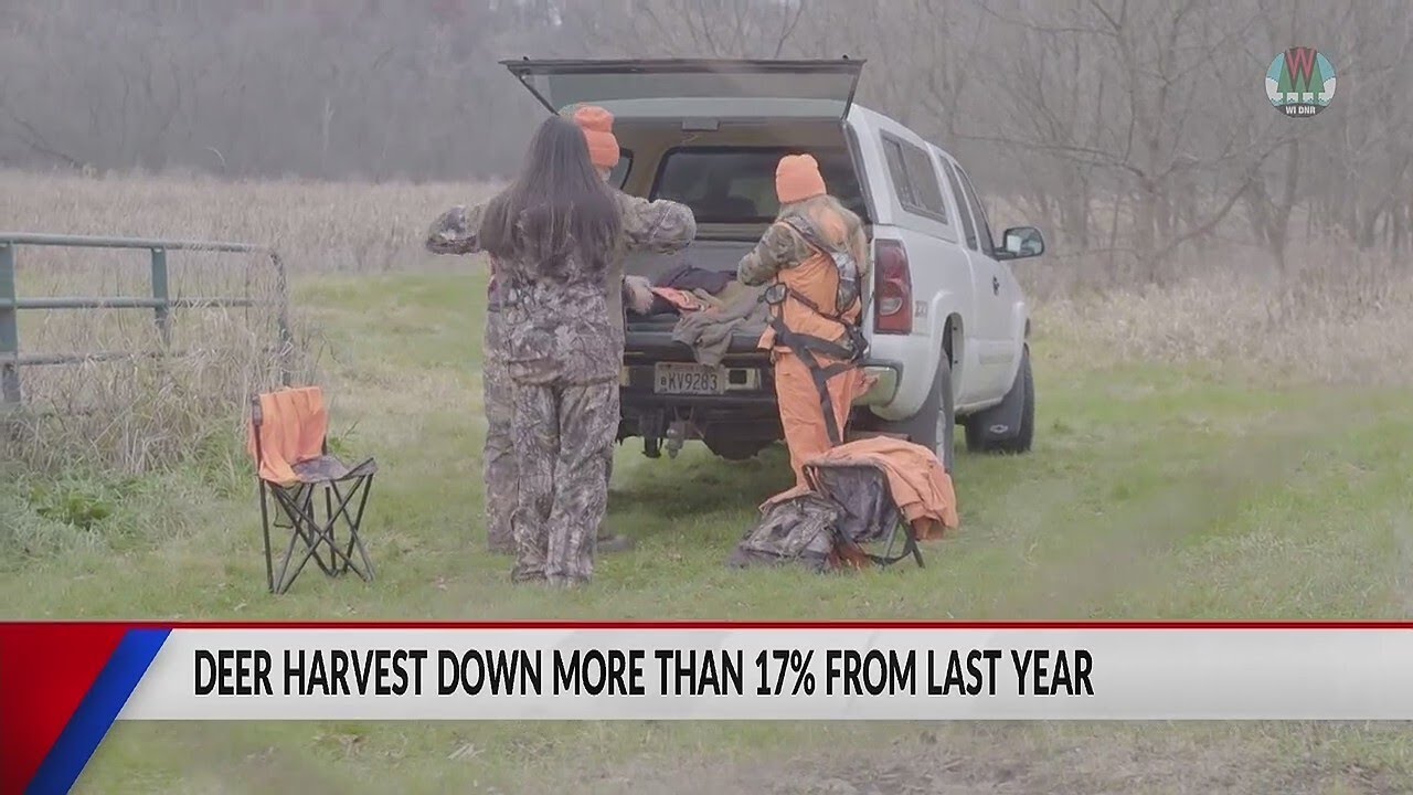 Deer harvest down more than 17% from last year - YouTube