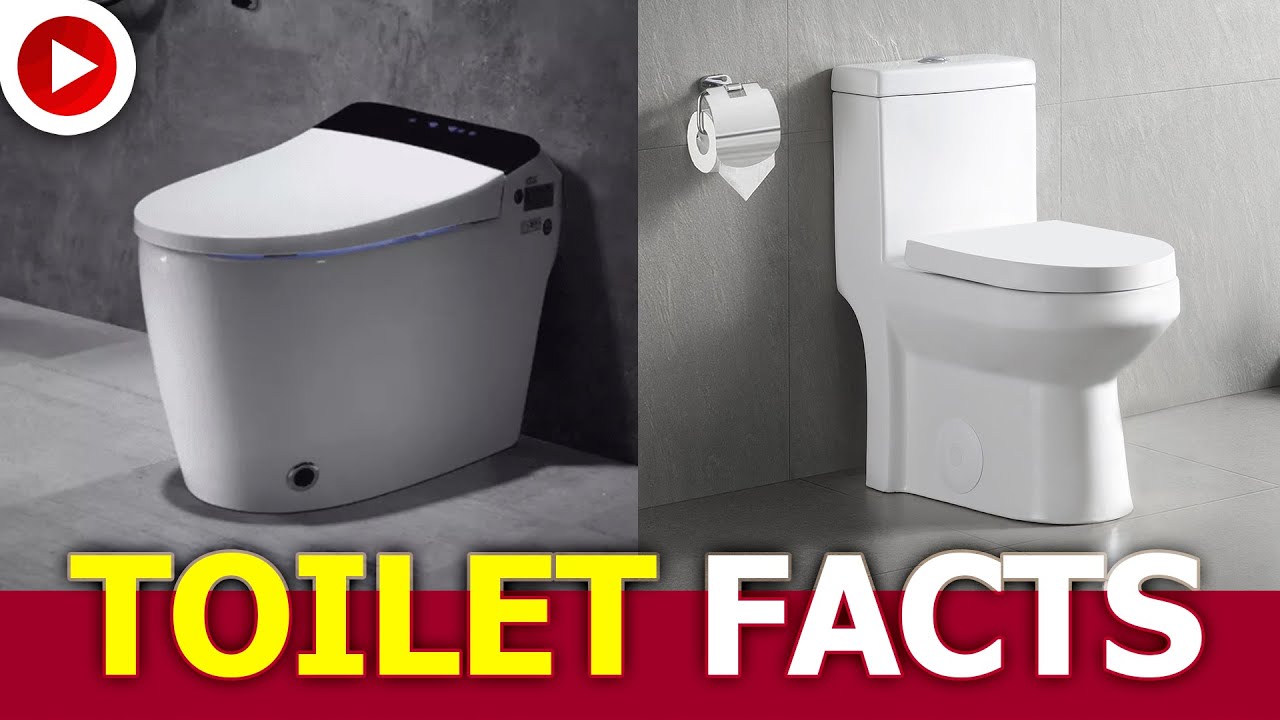 Weird Toilet Facts that will Blow your Mind | Facts about Public ...