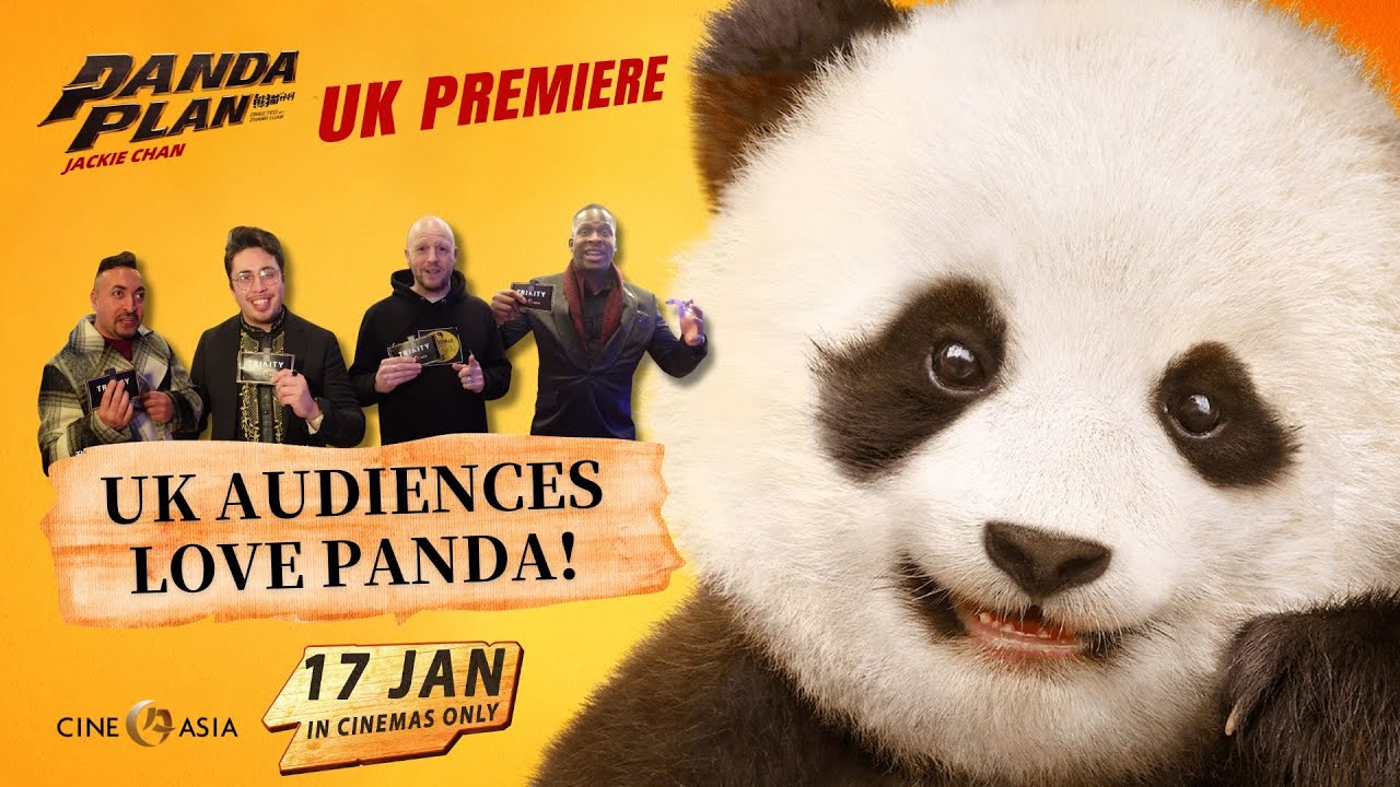 PANDA PLAN UK Audience Honest Opinion - The Panda🐼 - YouTube