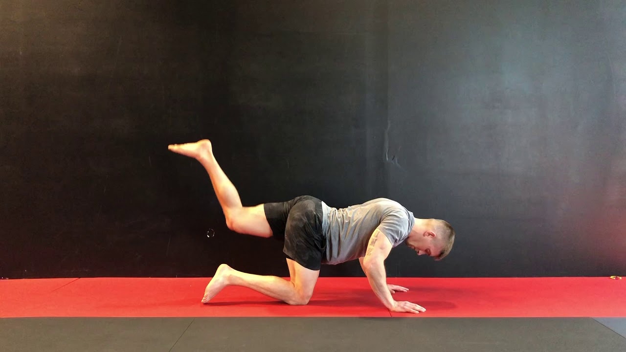 Quadruped donkey kicks - YouTube