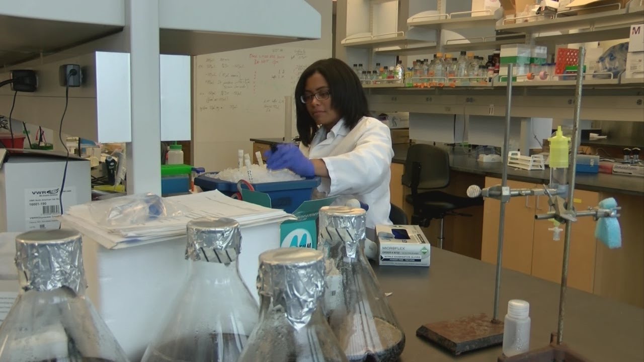 Scientists from Puerto Rico leading research in Buffalo after hurricane ...