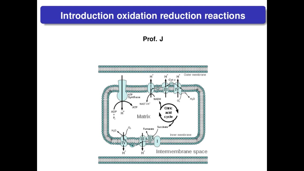 Introduction to redox reactions - YouTube