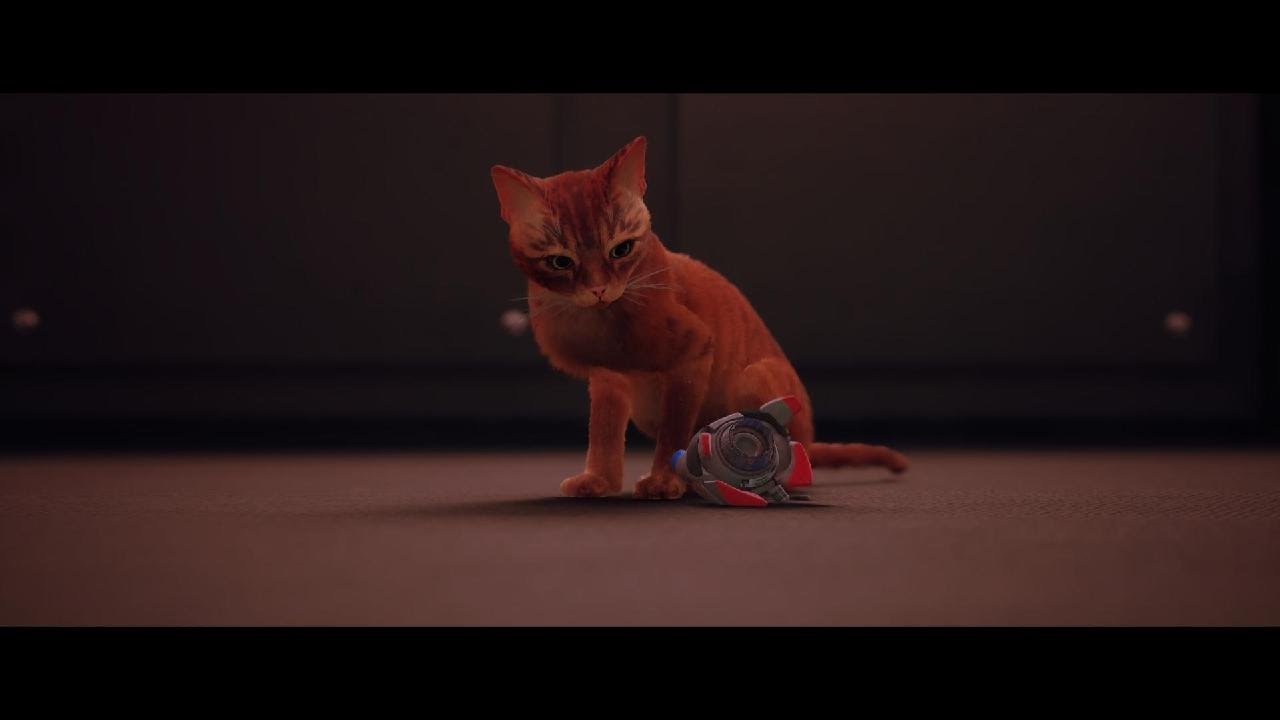 Stray Ending - YouTube