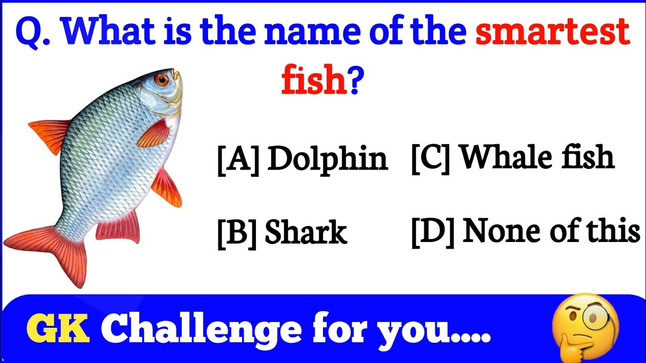 GK || GK in English || General Knowledge Question and Answer || GK Quiz ...