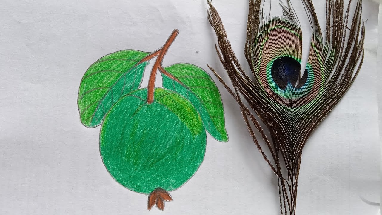 haw to easy drawing guava।।how to draw guava easy।।drawing pictures ...