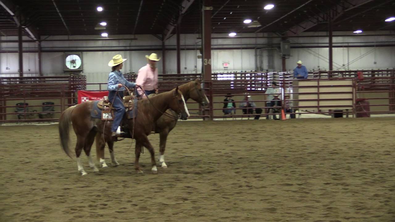 2016 ARHA WS- AA Ranch Roping Champion - YouTube