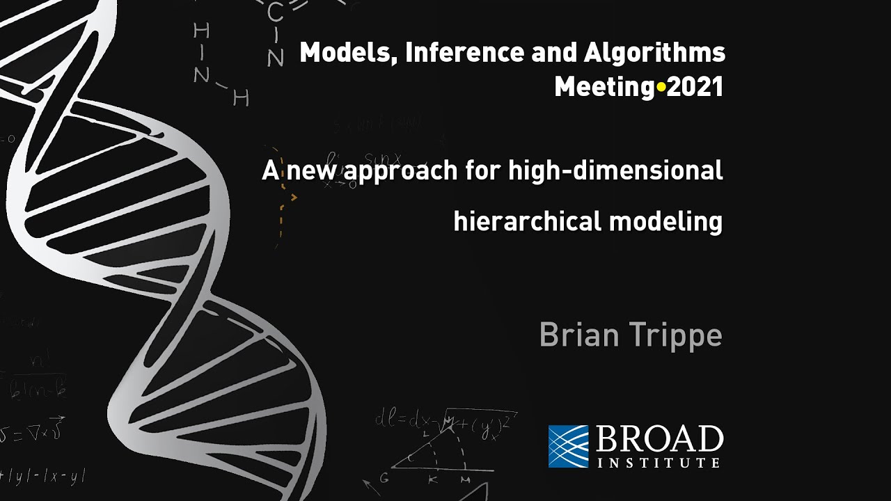 MIA: Brian Trippe, A new approach for high-dimensional hierarchical ...
