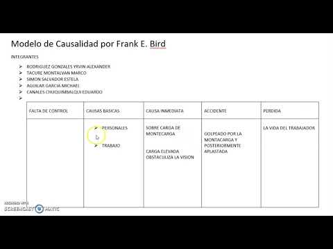 Modelo de Causalidad por Frank E. Bird - UCV GRUPO 4 - YouTube