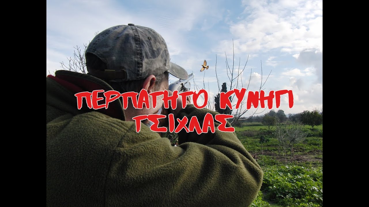 ΠΕΡΠΑΤΗΤΟ ΚΥΝΗΓΙ ΤΣΙΧΛΑΣ - YouTube