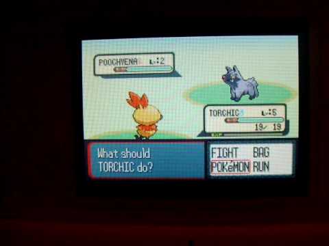 LIVE Shiny Torchic in Ruby! First shiny of 2010! - YouTube
