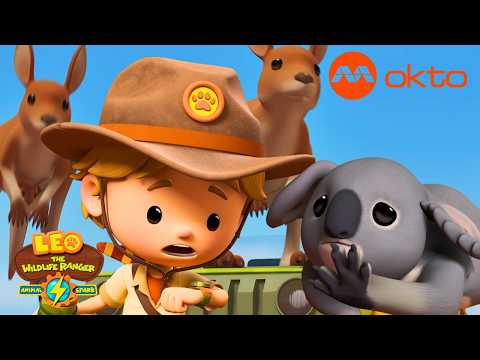 Rettung eines kleinen Koalas! 🐨🌳 | Leo und die Wildhüter Staffel 8 Folge 1 | @mediacorpokto
