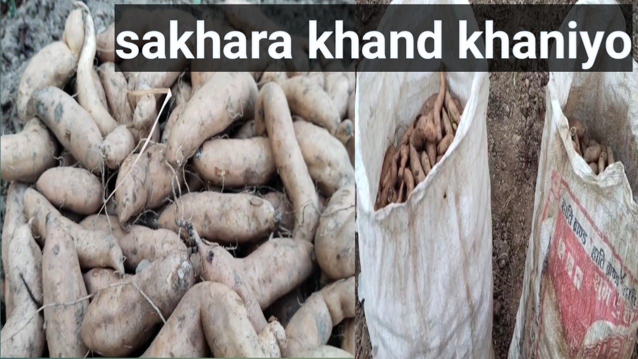 sakhara khanda pni khaniyo aja maja sangale ️🙏 - YouTube