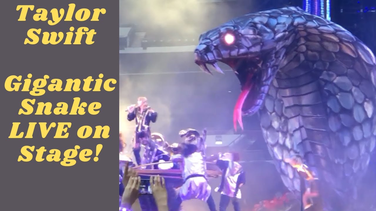 Check out the Giant Snake with Taylor Swift #taylor swift #snake # ...