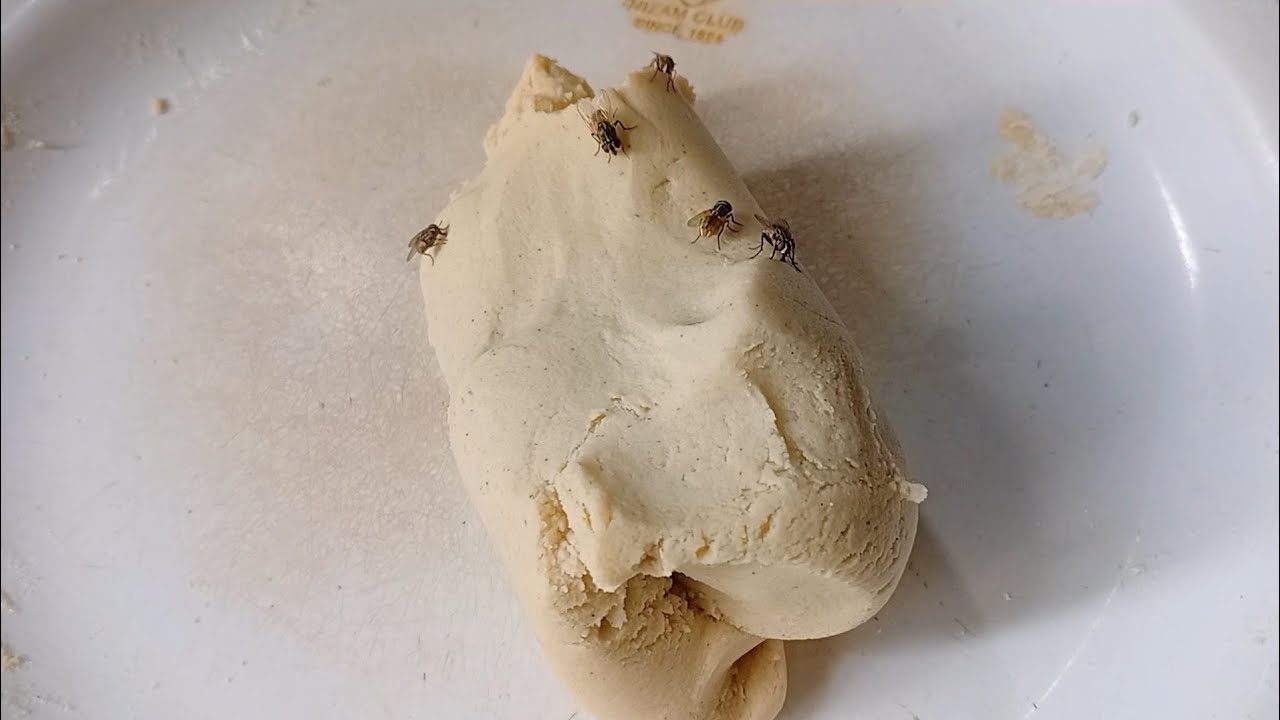 Atepe makhiya - YouTube