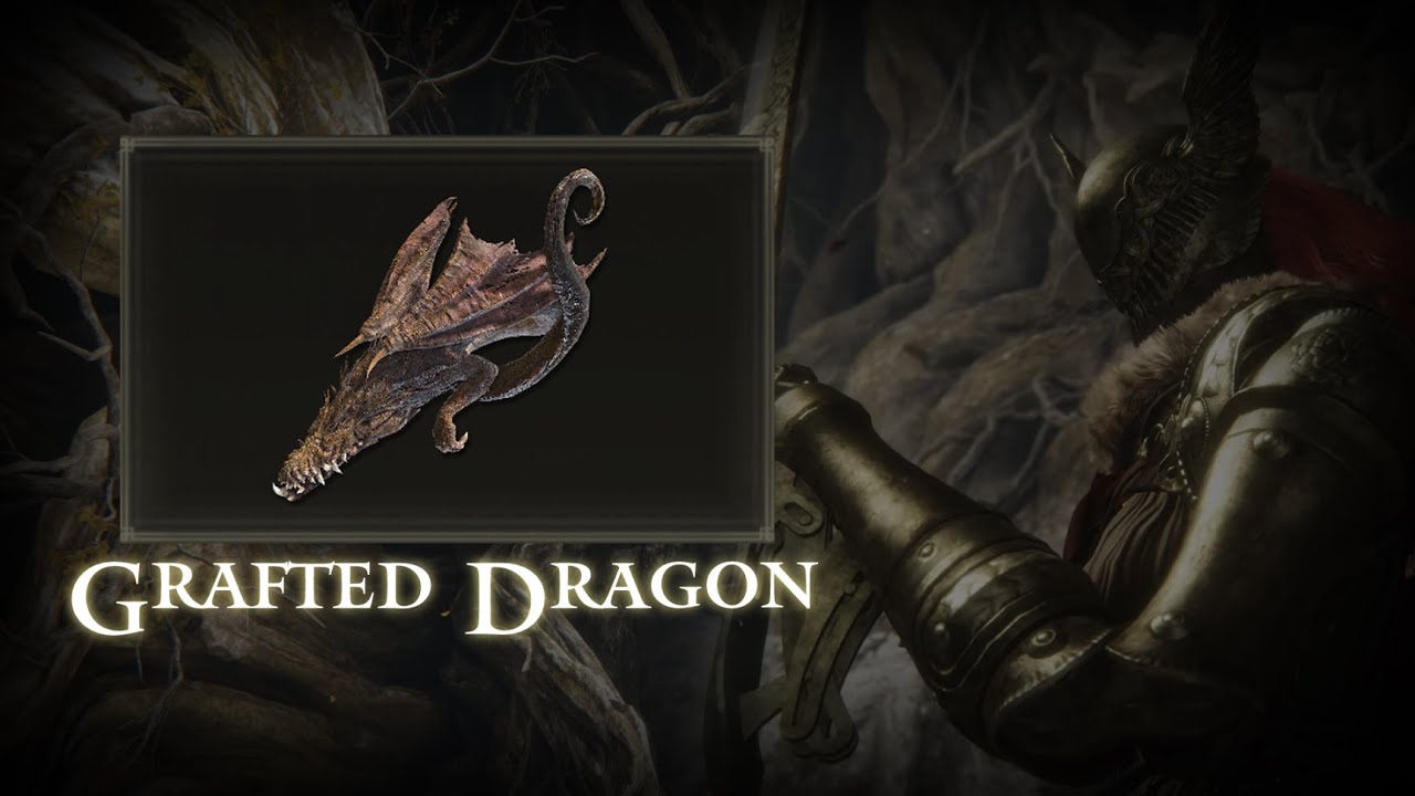 Grafted Dragon vs. Malenia [No Hit] - YouTube