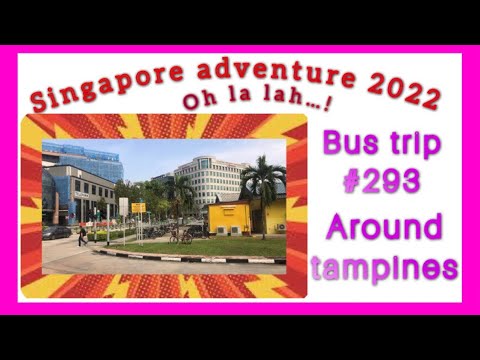 Singapore Adventure Bus Trip #293 Around Tampines @SweetiepieGlo ...