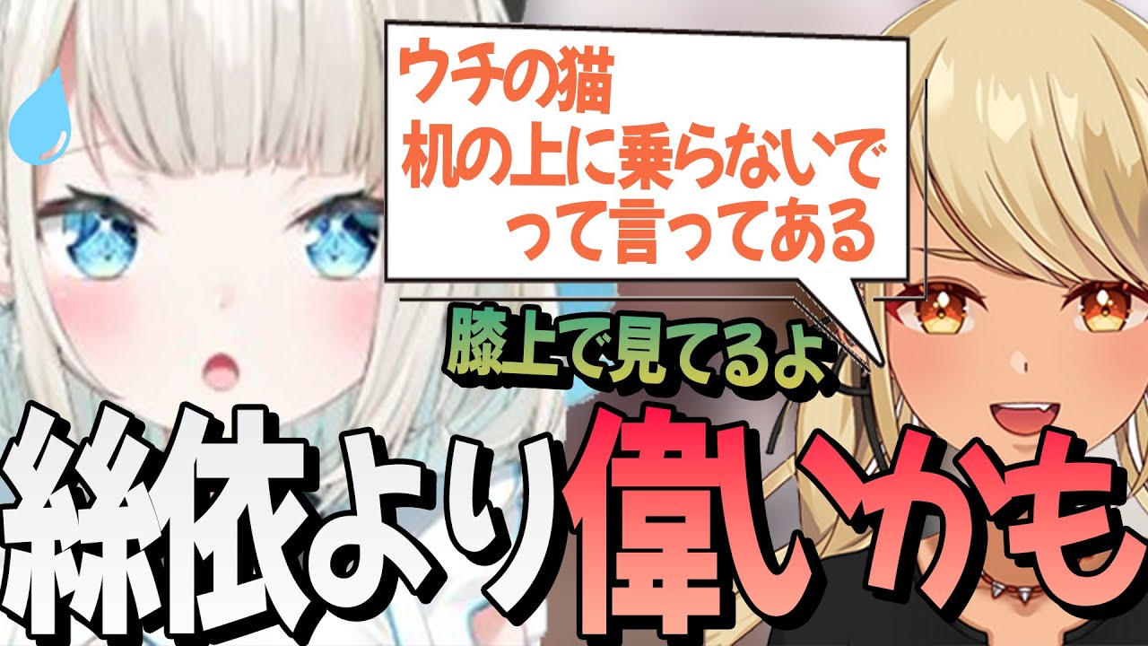【Valorant】神成きゅぴの飼ってる猫より知能が低い可能性が出た絲依とい【絲依とい/ネオポルテ/切り抜き】 - YouTube