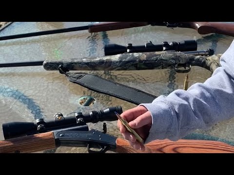 243 rife vs 25-06 rife and 410 for fun - YouTube