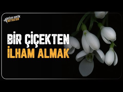 Bir Çiçekten İlham Almak - Motivasyon Konuşması