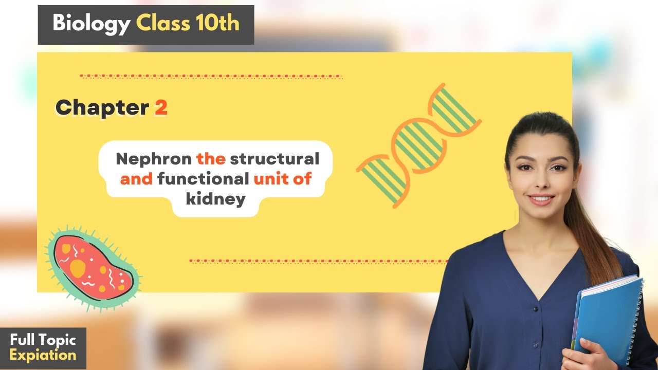Class 10th | Biology | Chapter 2 | Nephron | biological instruction ...