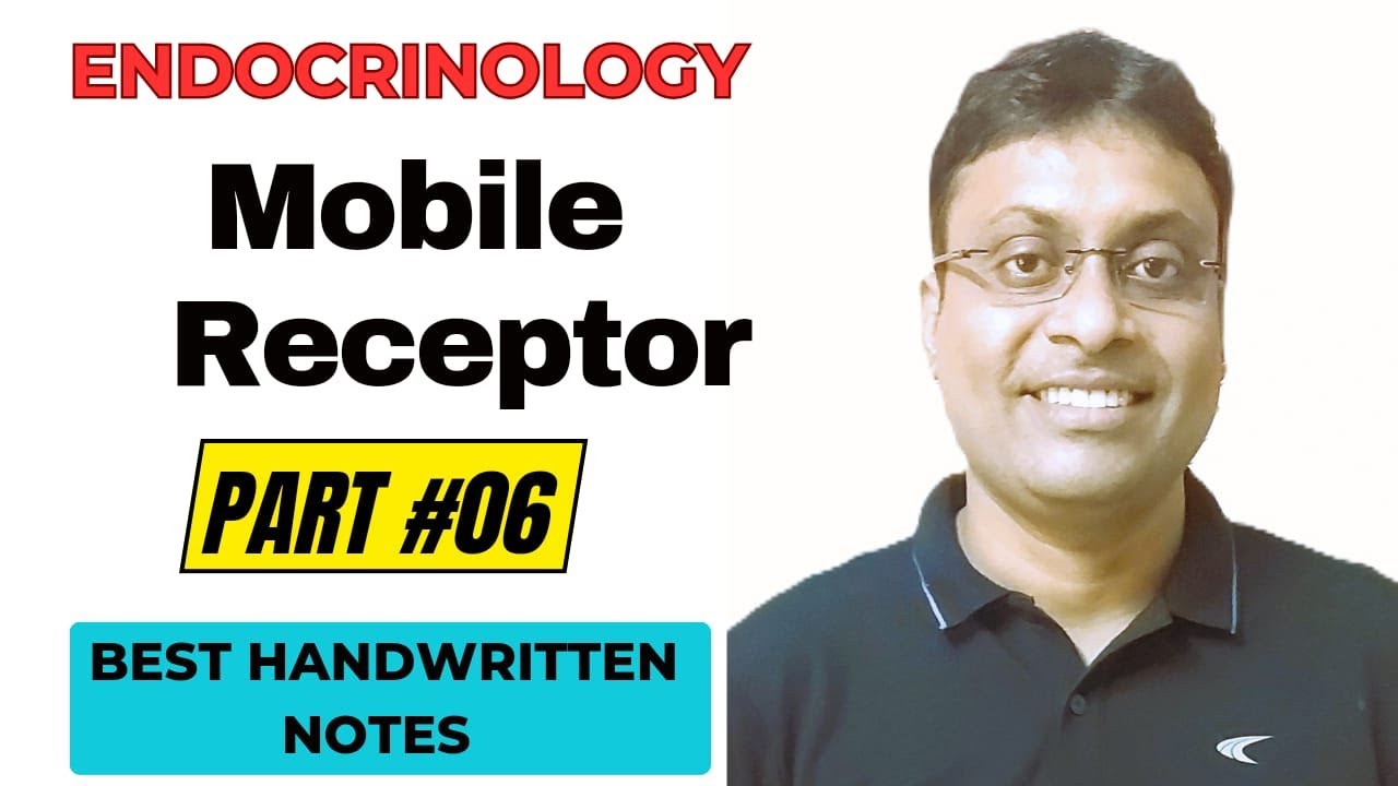 Mechanism Of Hormone Action || Steroid Hormones || Mobile Receptor ...
