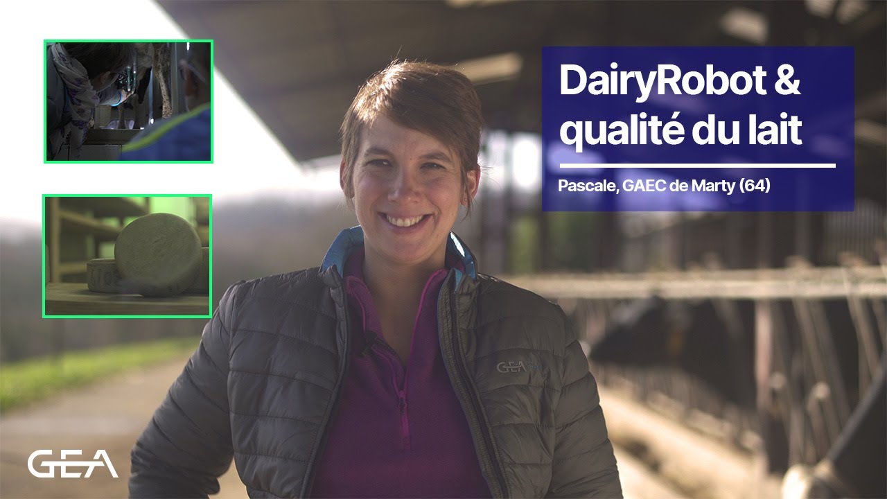 🐄 Robot de traite GEA DairyRobot R9500 - GAEC de Marty (64) - YouTube