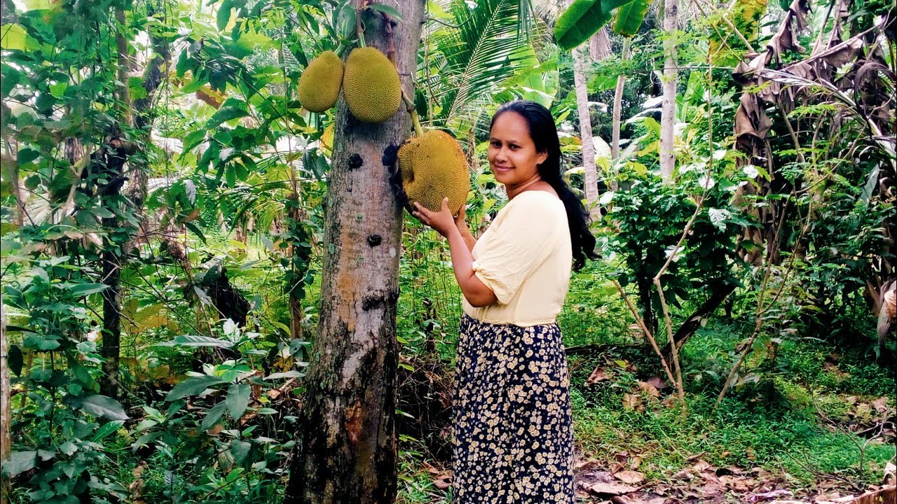 The amazing story of jack fruit. - YouTube