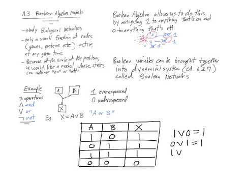 Introduction to Boolean Networks in Biology - YouTube