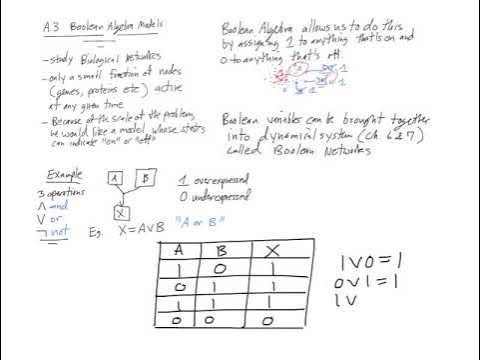 Introduction to Boolean Networks in Biology - YouTube