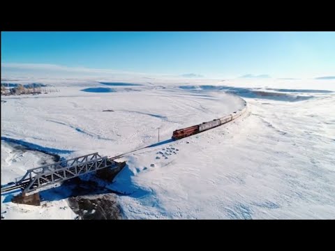 Nazeleme - Savaş Şanıvar