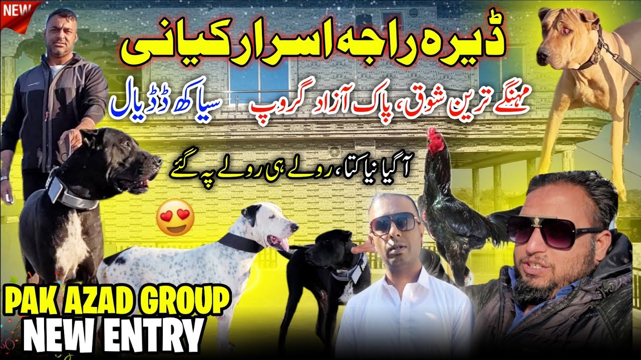 Dera Raja Israr Kiyani, Siyakh 😍 New Entry in Pak Azad Group || All ...